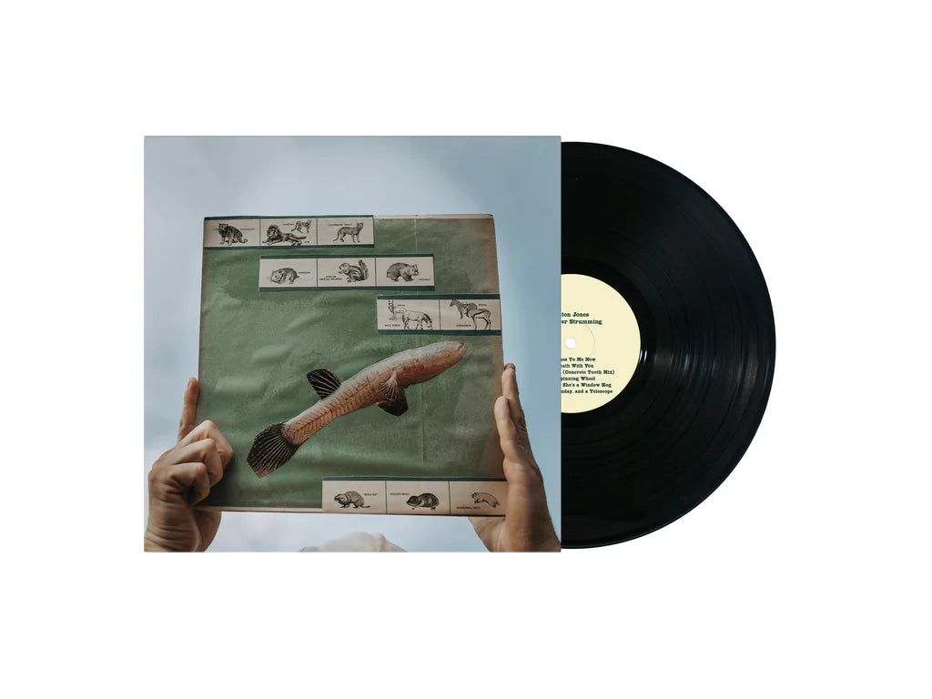 Cotton Jones - The River Strumming (Black Vinyl) – Jet Black Cat Music